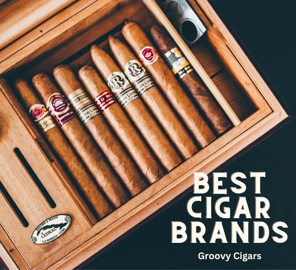 15 Best Cigar Brands to Light Up in 2025 – Groovy Cigars